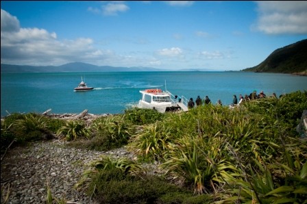 Kapiti Island Nature Tours - Boutique Travel NZ